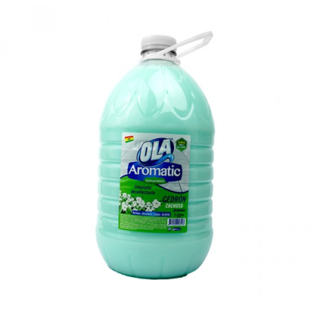 Productos Desinfectantes | Tienda LATRINA Bolivia